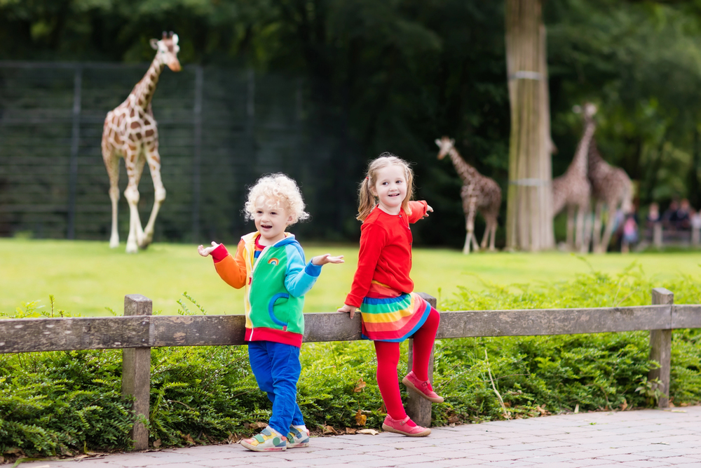 Top Zoo Discounts & Travel Tips: Save on the Best Zoos in America